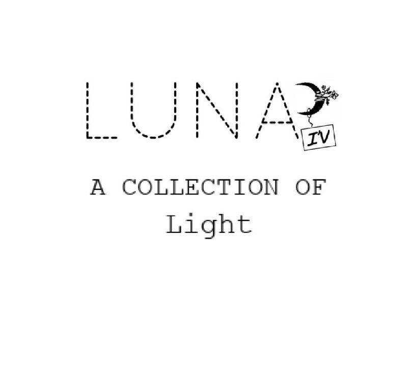 LIGHT COLLECTION SHOP – Light Collection Shop LLC